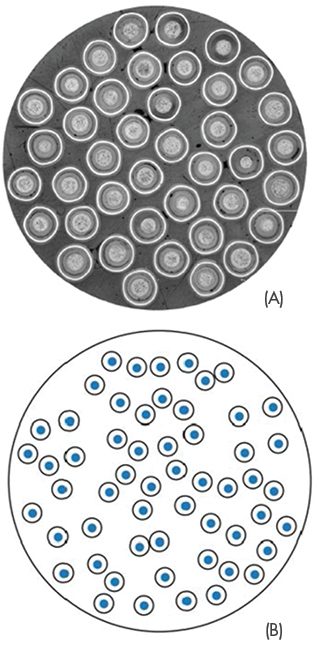 PEGASUS: Development for TRISO Fuel and Advanced Reactor Applications ...
